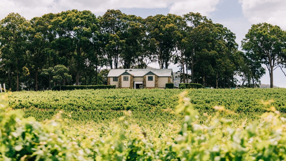 Bonvilla Estate - Made in Pokolbin