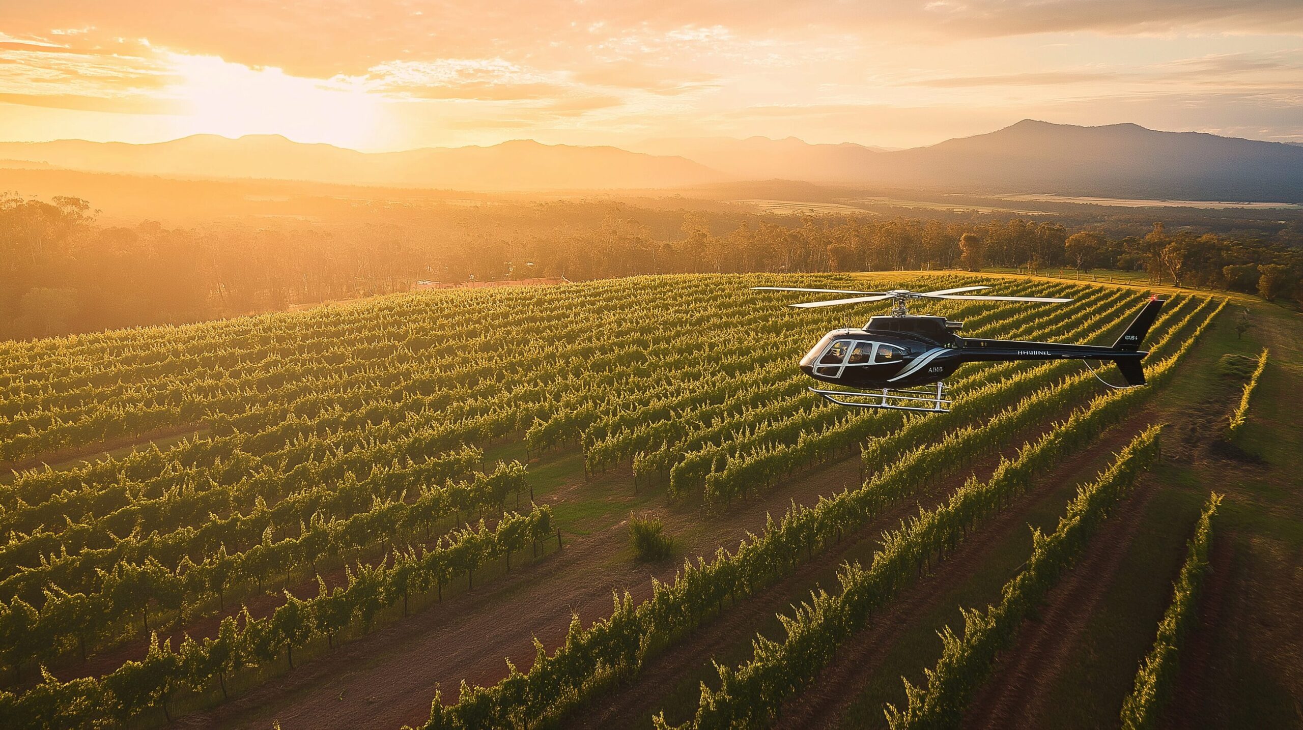 Hunter Valley Helicopters: A Unique Way to Explore Wine Country